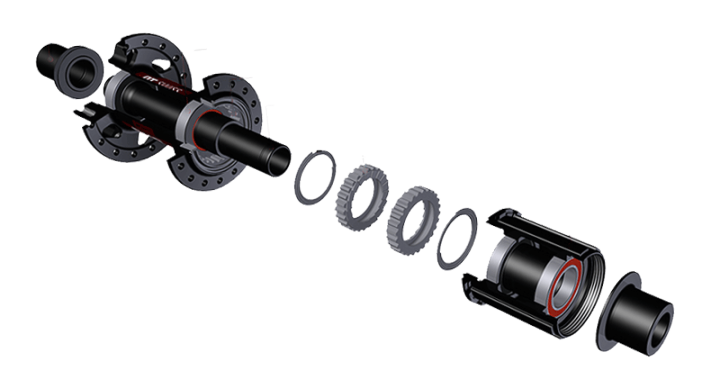 Roue libre DT Swiss Ratchet : fonctionnement et entretien - Glisse Alpine